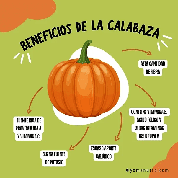 Las Propiedades De La Calabaza Y Sus Beneficios A La Salud – RXDLB